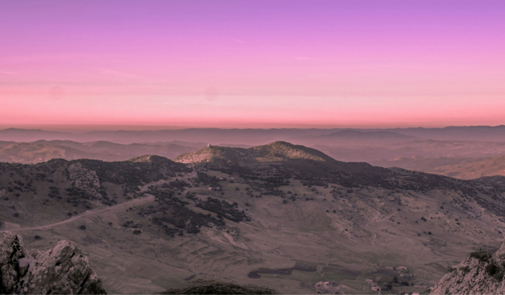 SCOPEN research: key industry studies and data